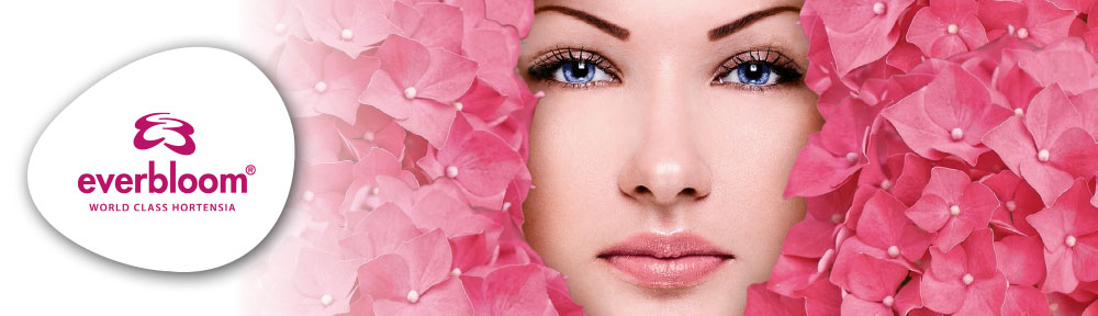 Red wonder - EverbloomEverbloom