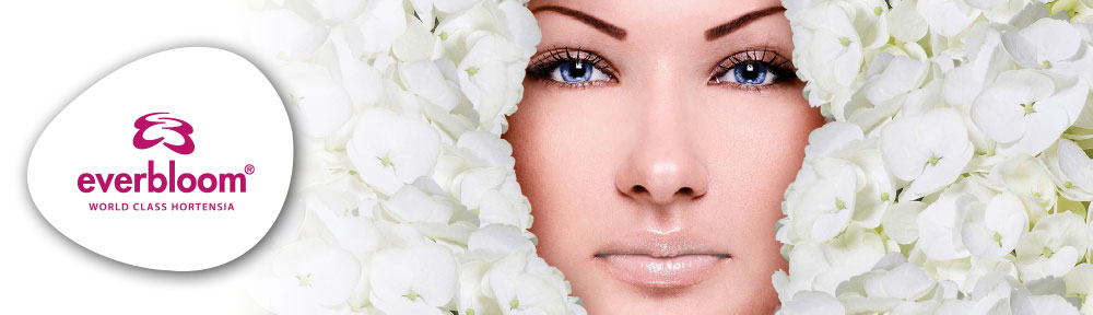 White wonder - EverbloomEverbloom